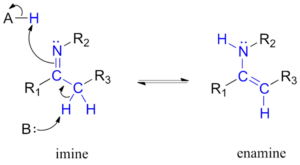 7.7 Carbon Acids – Chemical Bonding and Organic Chemistry